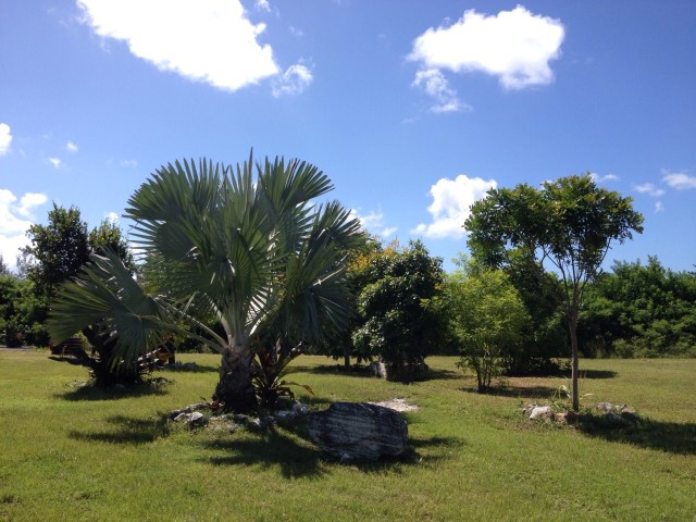 Bahamas Real Estate on Nassau / New Providence For Sale - ID 11778