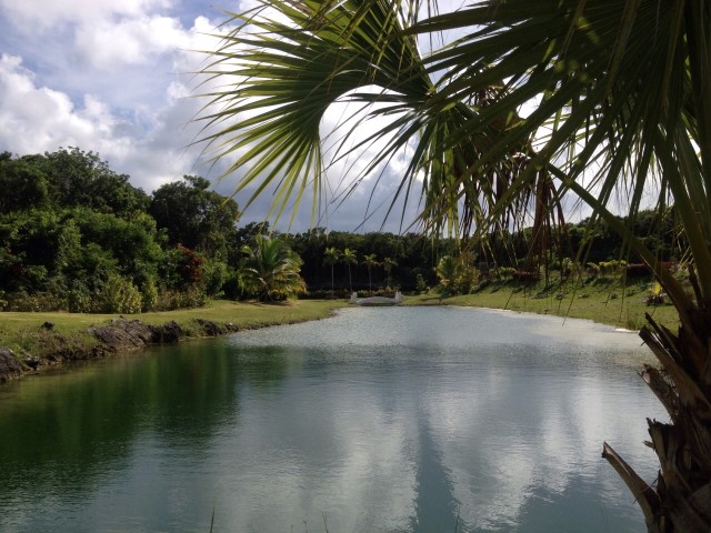 Bahamas Real Estate on Nassau / New Providence For Sale - ID 11778