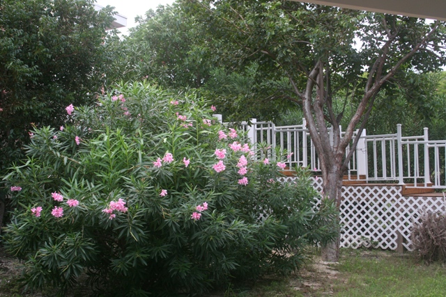 Bahamas Real Estate on For Sale - ID 2892