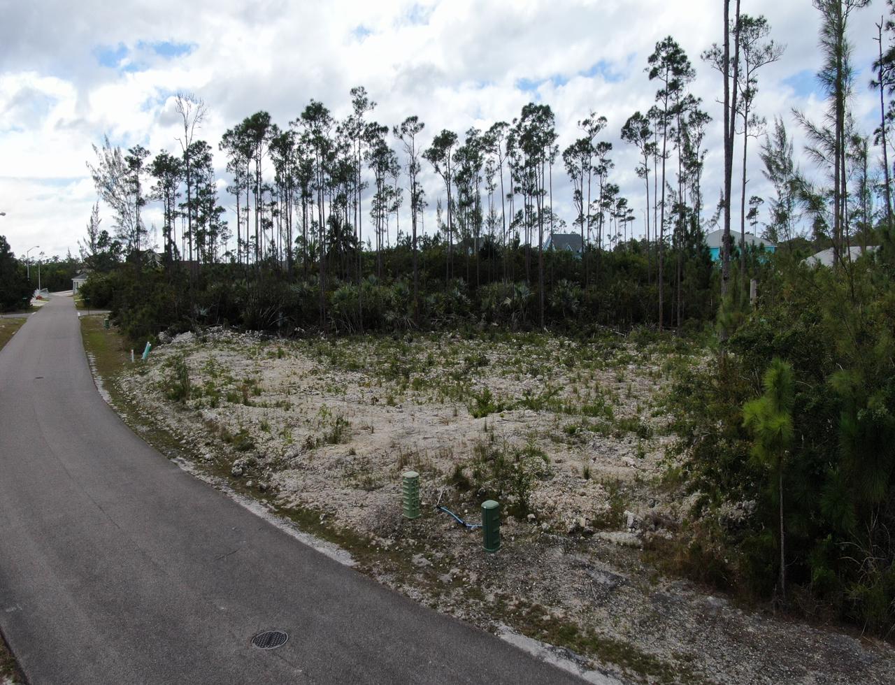 Bahamas Real Estate on Nassau / New Providence For Sale - ID 41314