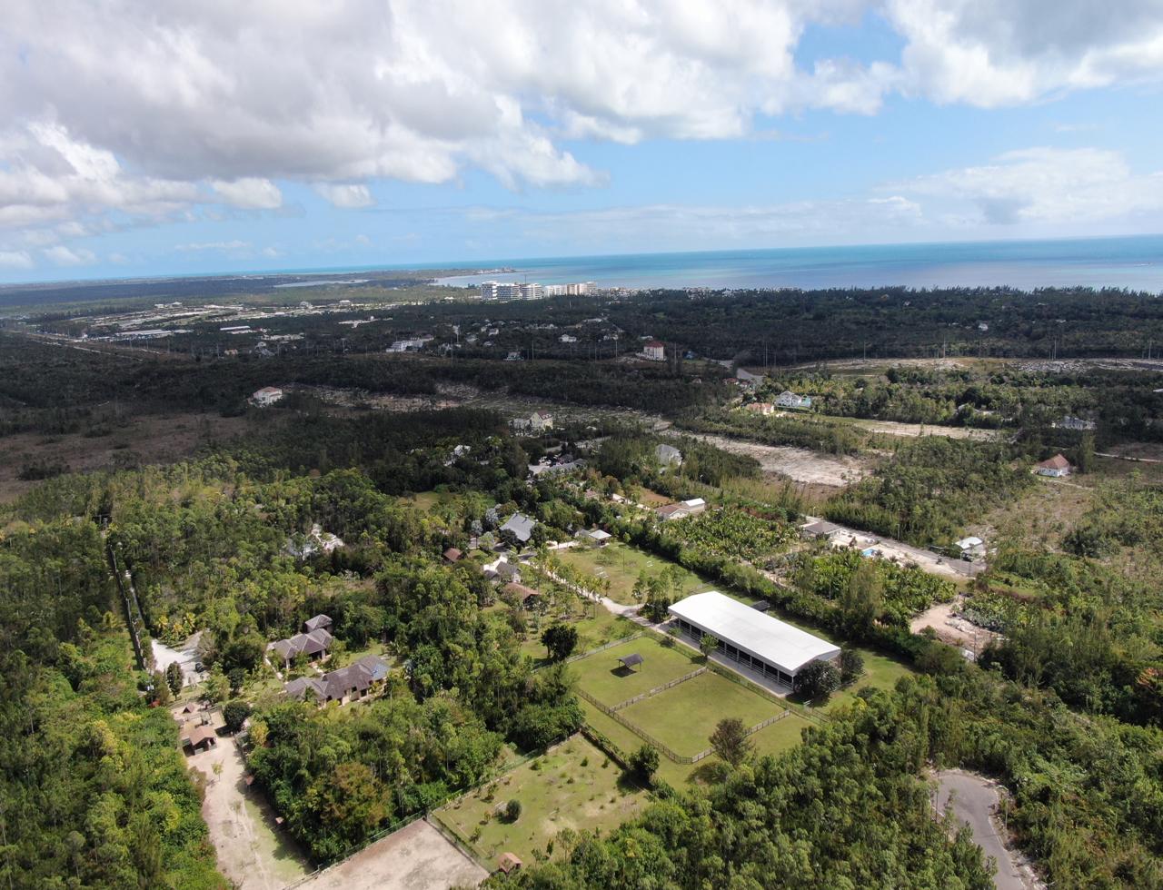 Bahamas Real Estate on Nassau / New Providence For Sale - ID 41314