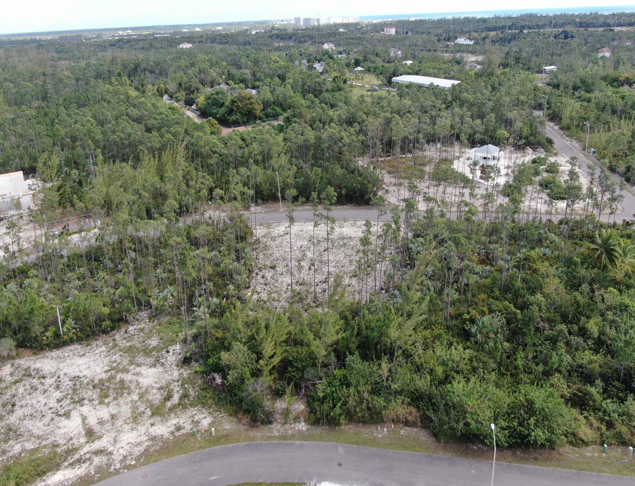 Bahamas Real Estate on Nassau / New Providence For Sale - ID 41314