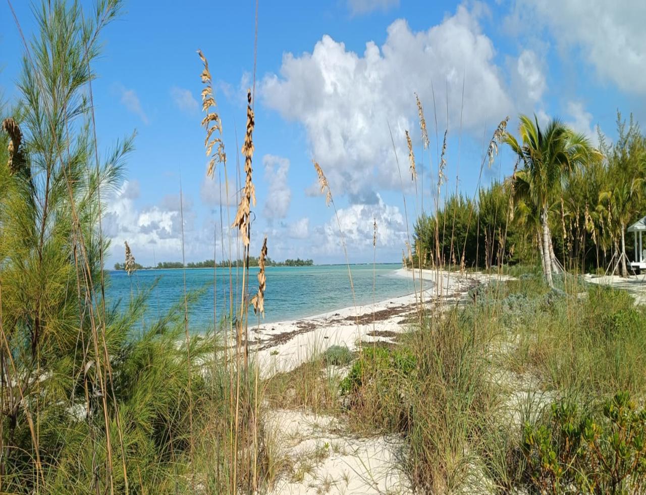 Bahamas Real Estate on Berry Islands For Sale - ID 44413