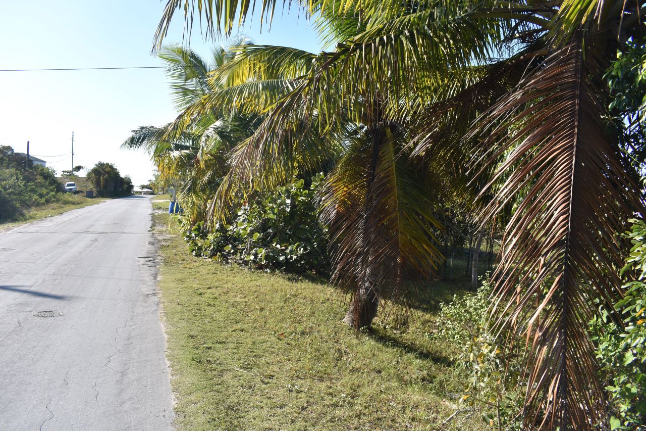 Bahamas Real Estate on Eleuthera For Sale - ID 47408