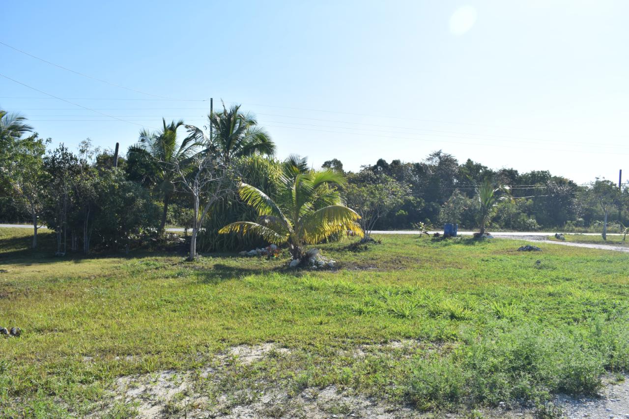 Bahamas Real Estate on Eleuthera For Sale - ID 47408