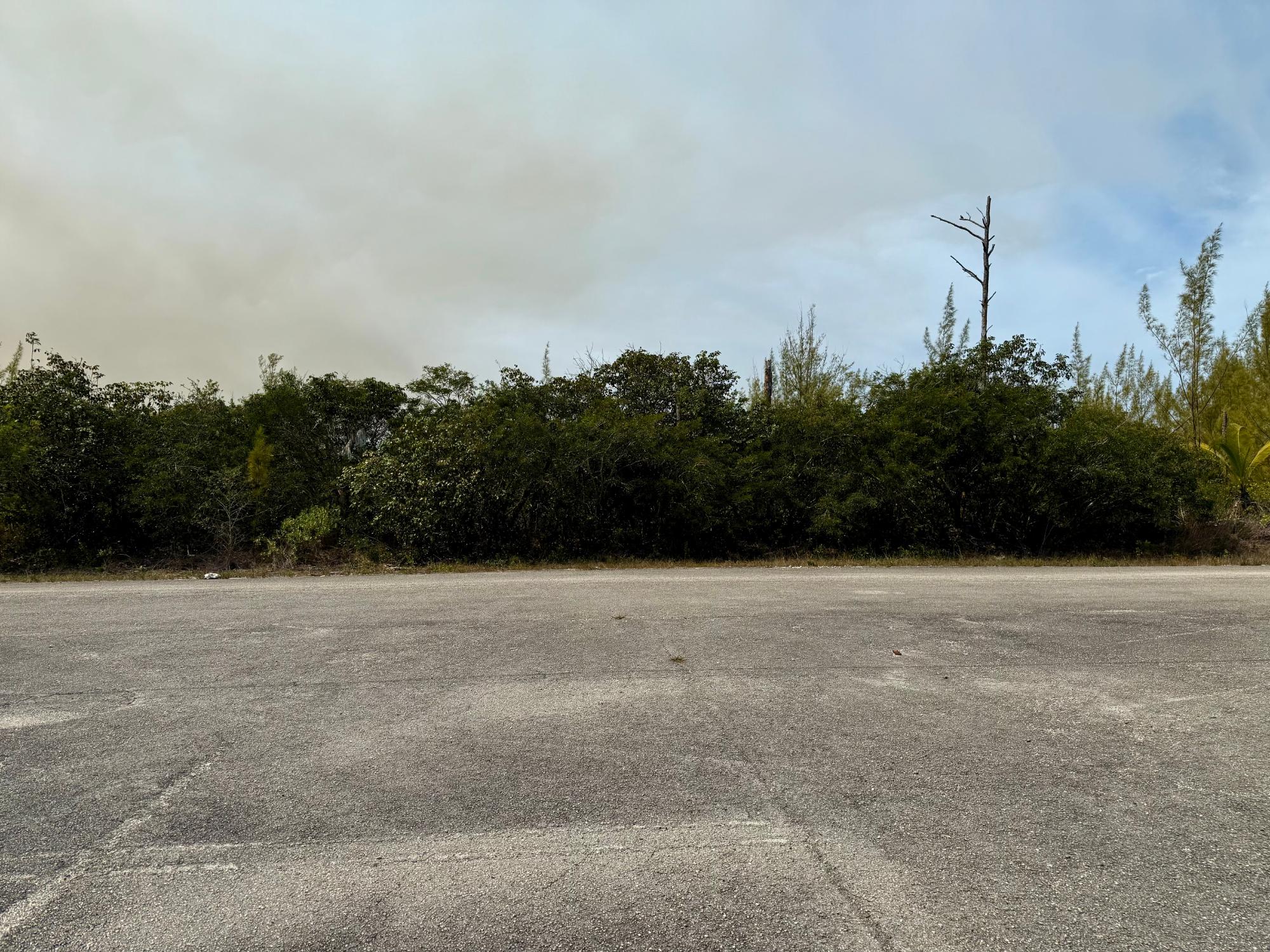 Bahamas Real Estate on Grand Bahama For Sale - ID 76775
