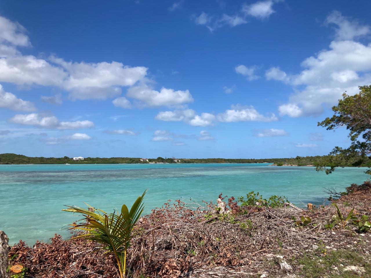 Bahamas Real Estate on Andros For Sale - ID 79078