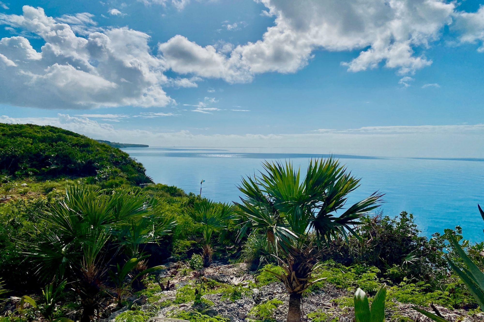 Bahamas Real Estate on Eleuthera For Sale - ID 79361